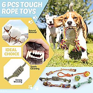 LOYEE Puppy Toys 21 Pack, Small Dog Chew Toys with Rope Toys for Teething Pet Cute Squeak Toy with Treating Ball for Puppy, Small Dogs