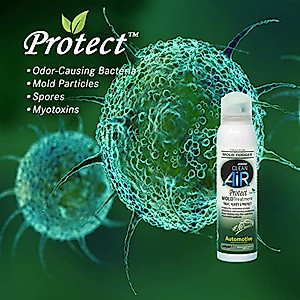 DWD2 Protect™ Automotive Mold Treatment - Revitalize Your Car's Interior The Green Automotive Mold Treatment Solution. Say Goodbye to Unpleasant Odors and Hello to a Fresh and Protected Cabin (FOGGER)