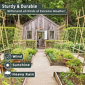 50Pcs Bamboo Plant Stakes for Indoor Outdoor Plants, 0.32''-0.4''/18 Inch Bamboo Sticks Garden Support Stakes Bamboo Poles Trellis for Tomato Vegetables Beans Trees Potted Climbing Plants