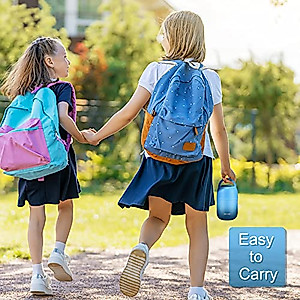 17 oz Insulated Lunch Containers Hot Food Jar, Wide Mouth Lunch Thermos for Hot Food Kids Adults, Vacuum Stainless Steel Thermos Lunch Box With Handle Folding Spoon for School, Office, Travel