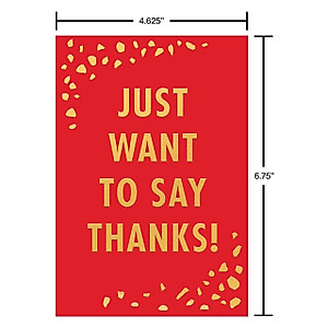 American Greetings Deluxe Boxed Thank You Card Assortment (15-Count)
