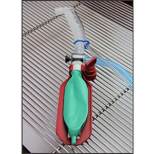 Veterinary Dental Table Mount for Non Rebreathing Circuits, Jackson Rees, SafeSigh, etc. (Royal Blue)