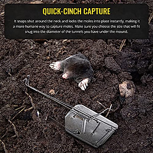 Cinch Mole Trap Deluxe Kit Large (2 Pack) Heavy Duty and Reusable, Rust and Weather Resistant, Outdoor Use, Lawns, Gardens, Sports Fields, Yards, Personal and Professional-Grade Use