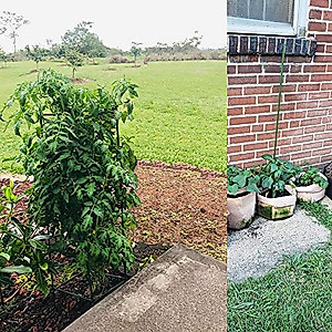 MTB Metal Garden Stakes 71 Inches, Steel Plant Stakes, Pack of 25, with Universal Buckles for DIY