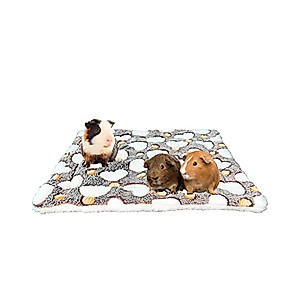2 Pcs Guinea Pig Rat Hammock and Mat Set, Small Pet Cage Hammock and Warm Bed Soft Mat Rat Hanging Hammock Mat Bunkbed Sugar Glider Hammock for Chinchilla Parrot Ferret Squirrel Sugar Glider Playing