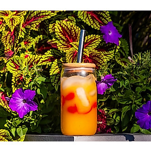 My Nest Modern Glass Cups with Lids and Straws (Set of 4, 16oz) - Aesthetic Cups Ideal as Glass Coffee Cups, Matcha Glass, Smoothie Cup, Bear Glass Cup