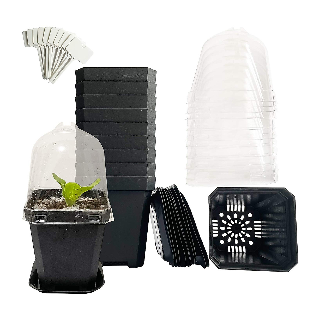 Cashger 10 Pack Plant Nursery Pots Sets 3" Thicken Soft Plastic Gardening Pot Little Planting Pots Seedling Cups with 10 PCS Labels, Humidity Lids and Trays