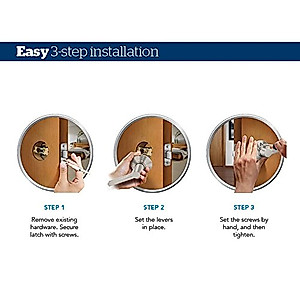 SCHLAGE F51A DMP 619 RWD Dempsey Lever with Rosewood Trim Keyed Entry Lock, Satin Nickel