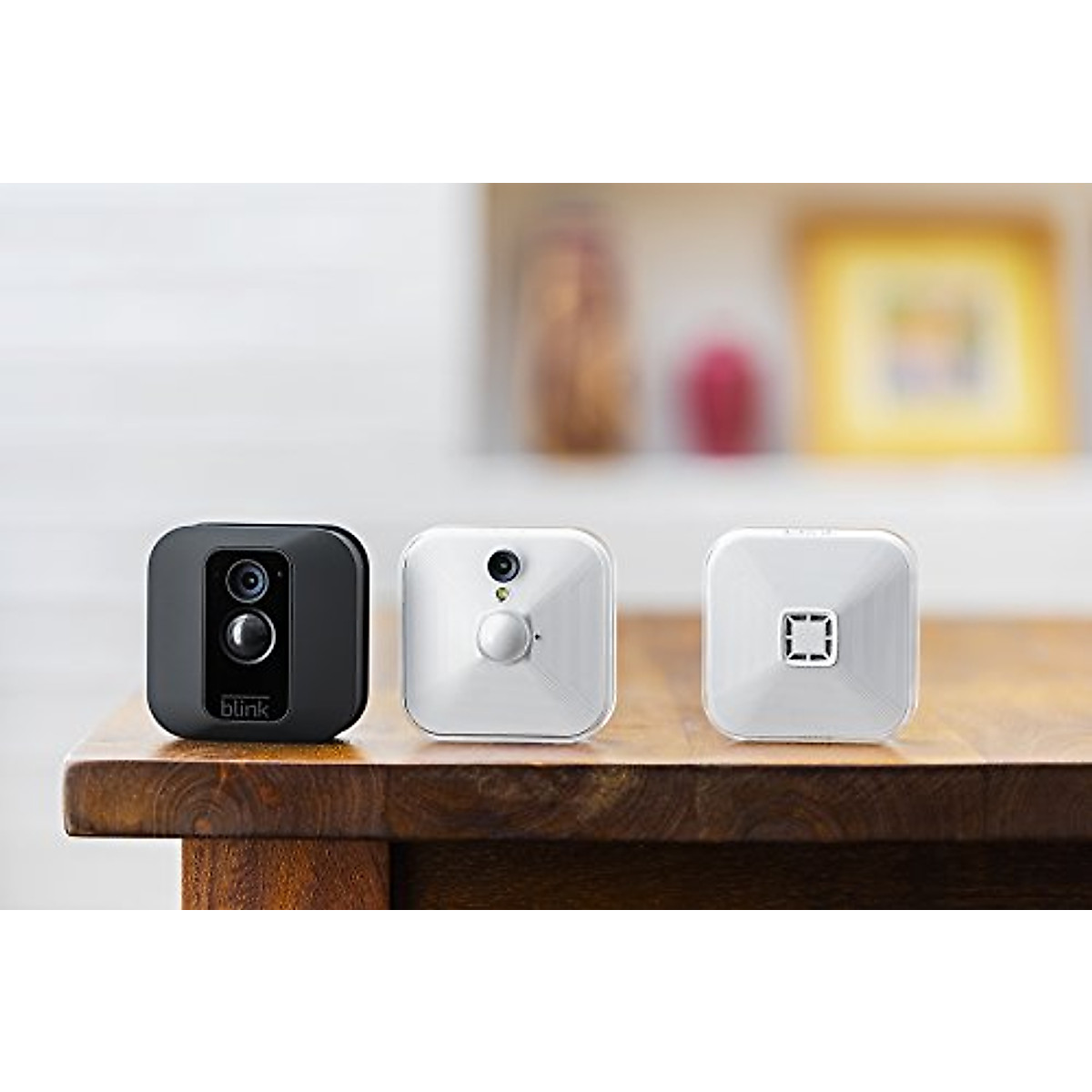 Blink Yard Sign with Two Window Decals Bundle