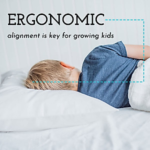 Little Sleepy Head Toddler Pillow 13" x 18" Soft Hypoallergenic - Best Pillow for Kids! Better Neck Support and Sleeping! Better Naps in Bed, a Crib, or at School! Makes Travel Comfier! (Pillow Only)