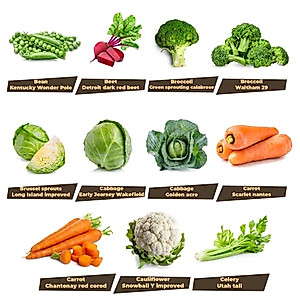 33 Variety Seed Bank Survival Gear 30,000 Premium Non-GMO Open Pollinated Heirloom Seeds Made in USA