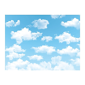 Allenjoy 8x6ft Blue Sky White Cloud Backdrop for Newborn Spring Portrait Photography Pictures Kids Children World Travel Aviator Birthday Party Decor Welcome Baby Shower Photo Shoot Background