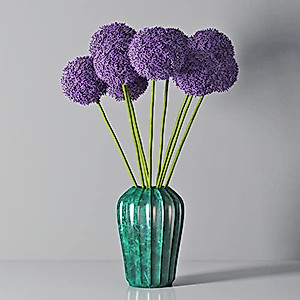 CHUXAY GARDEN Giant Allium-Allium Giganteum,Ornamental Onion 50 Seeds All Season Ornamental Onion Seed
