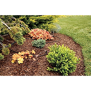 Rain Bird MBH4PKS Drip Irrigation Micro-Bubbler on Stake, 180° Half Circle Pattern, 0 - 3' Spray Distance, 4-Pack