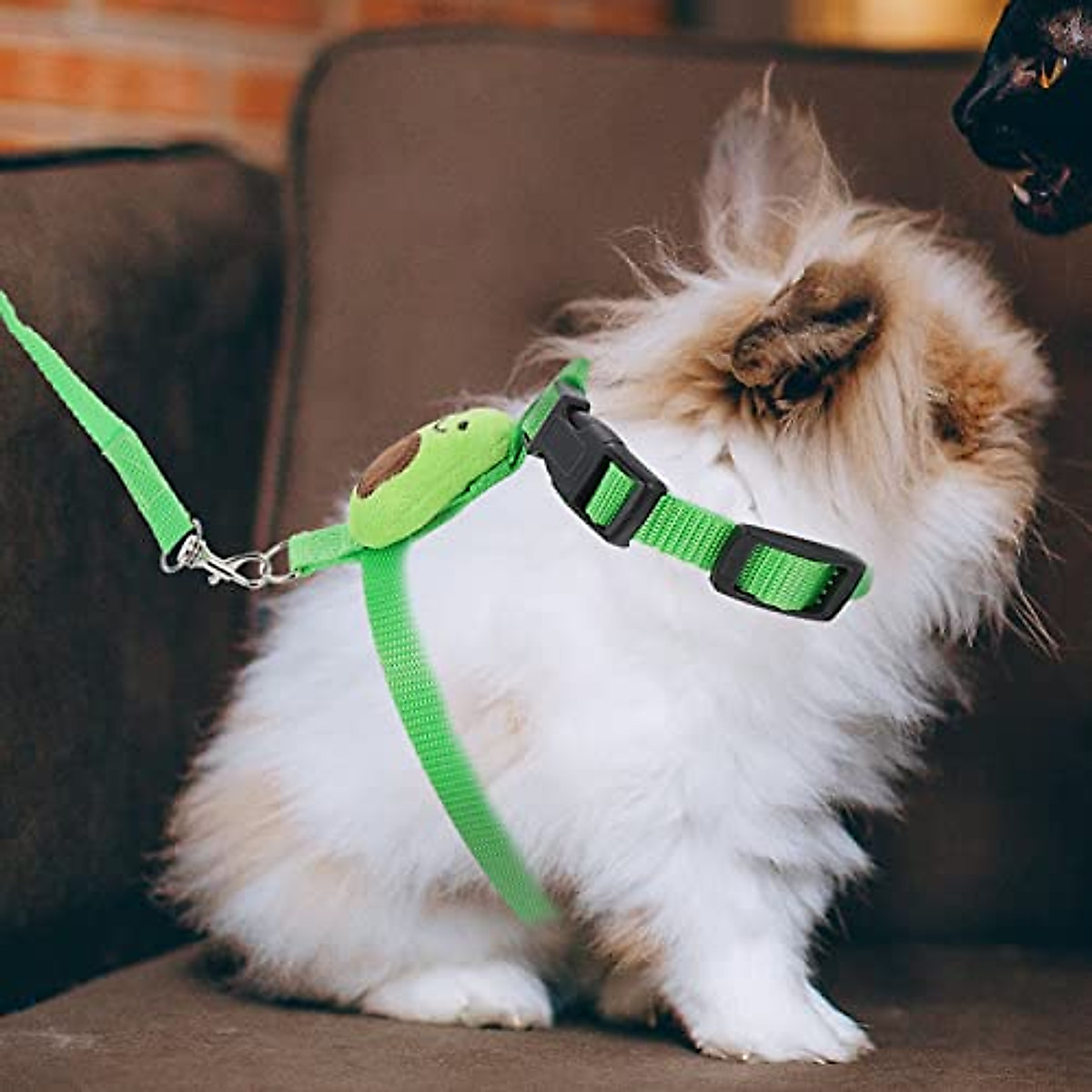 Ipetboom Bunny Harness and Leash: 1 Set Avocado Adjustable Small Pet Fruit Summer Outfit Costume for Rabbit Kitten Small Animal Hedgehog Ferret Piggies Squirrel Safety Walking Jogging