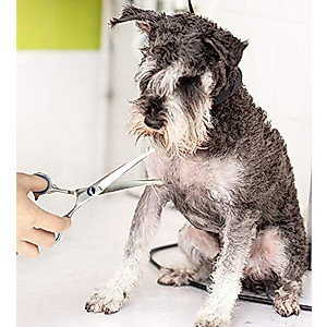 Petsvv 7.5" Curved Dog Grooming Scissors with Safety Round Tips, Light Weight Professional Pet Grooming Shears Stainless Steel for Dogs Cats Pets