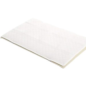 Arms Reach Concepts Inc. Mini Co-Sleeper Mattress Protector - White
