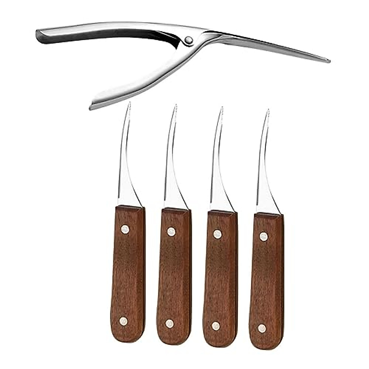 RORPOIR 1 Set Stainless Steel Shrimp Opener Shrimp Cutter Seafood Deveiner Shrimp Cleaner and Deveiner Tool Oyster Crackers Tools for Fish Scale Remover Shrimp Cleaning Supplies