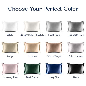 RENESSY Organic Silk Pillowcase - 100% Organic Mulberry Silk, 22 Momme, Naturally Hypoallergenic, Promotes Hair and Skin Health, 1 Piece (Queen Size 20x30 Inches, Natural Silk Off-White)