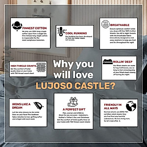 Lujoso Castle 3 Pc Shabby Ruffle Duvet Cover Set Made of 100% Long Staple Egyptian Cotton 800 TC