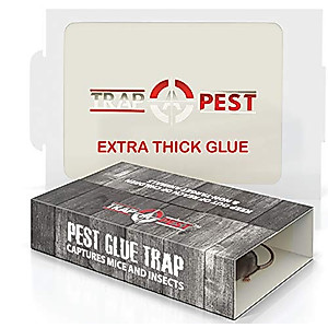 Sticky Mouse Traps Indoor for Home Ant Traps Indoor - Sticky Trap Indoor Home Bug Catcher Mice Traps for House Indoor Glue Traps Roach Trap Spider Traps for Inside Your Home (12 Traps)