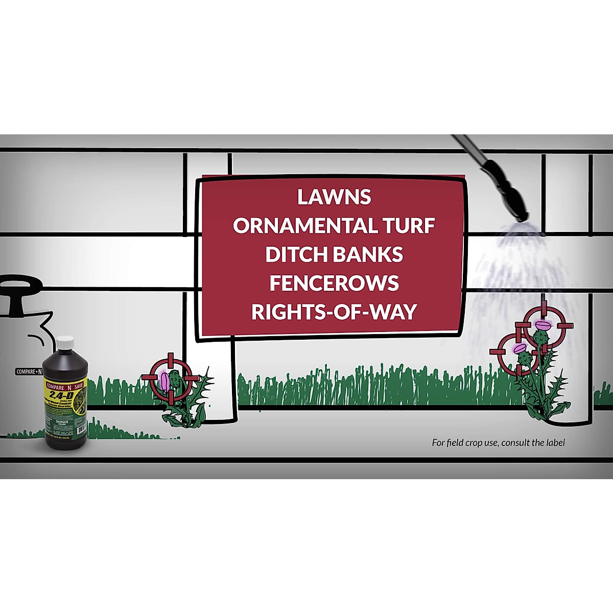 Compare-N-Save 2-4-D Amine Broadleaf Weed Killer, 32-Ounce