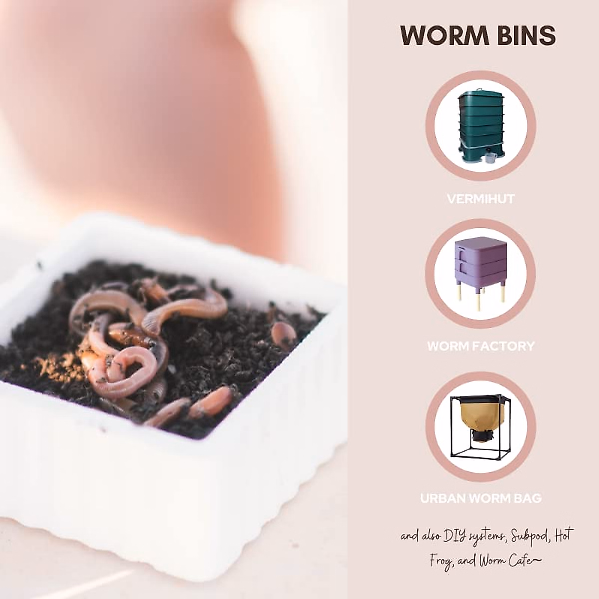 Nature's Dream Ranch 150 Count Live Red Wiggler Earthworms Vermicomposting Garden Red Wrigglers - Farm Composting, EW001-150A 0