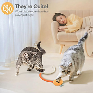 WONOWPA 2Pcs Catnip Chew Toys for Cats, Cat Rope Toys with Catnip Inside and Plush Toy, Interactive Catnip Teething Toys for Kittens