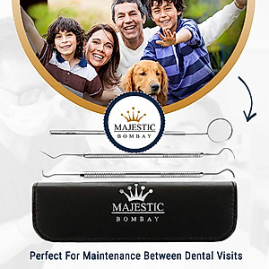 Dental Hygiene Tool Kit - Includes Stainless Steel Tarter Scraper/Scaling Remover, Dental Toothpick, Mouth Mirror - by Majestic Bombay- Dentists Tools Set is Ideal for Personal Use & Pet Friendly
