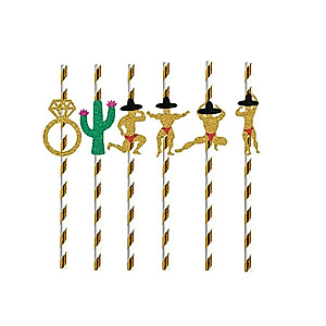 Bachelorette Party Decorations Straws 24 Pack | Cactus & Bridal Ring & Stripper Dancing Men Straws | Mexican Fiesta Party Drinking Favors