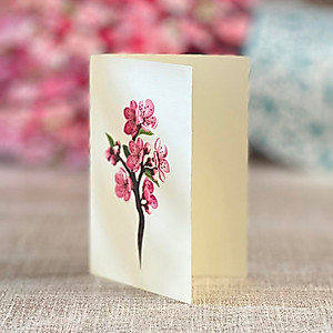 Freshcut Paper Pop Up Cards, Cherry Blossoms, 12 inch Life Sized Forever Flower Bouquet 3D Popup Greeting Cards with Note Card and Envelope - Cherry Blossoms