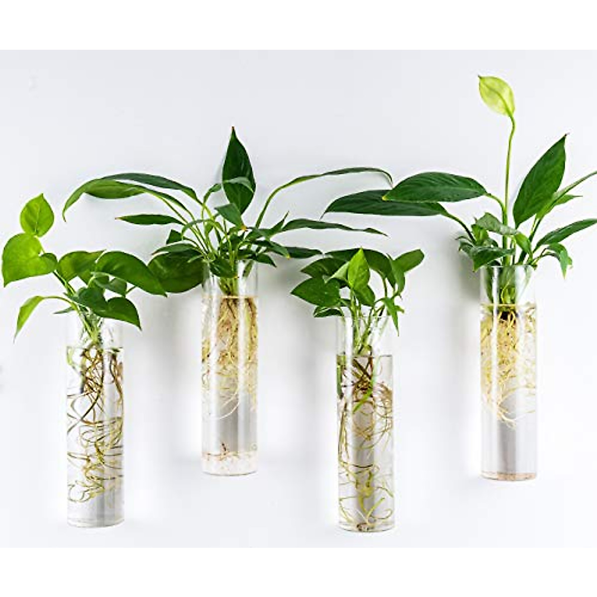 Kingbuy Wall Hanging Planter Glass Plant Propagation Station for Home Decor, Large Cylinder, 2 Pack