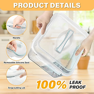 Extra Large Glass Storage Containers with Lids Airtight: Big Glass Containers with Lids - 220oz/28cup - XL Glass Rotisserie Chicken Container - Storing food Fruits Salads Free Oven Safe (Extra Large)