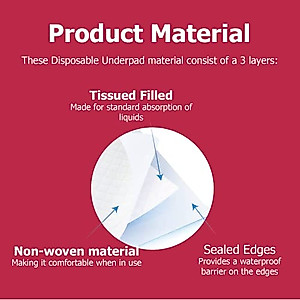 Dealmed Standard Non-Sterile Medical Underpads, 100 Count Disposable 2-Ply Tissue Fill, 24" x 17", Blue, 100 Count, Perfect for Pet Pads, Furniture Protection and More, 100 Count (1 Pack)