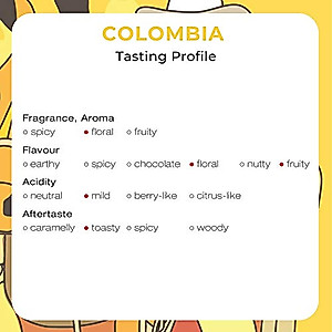 Mondo Drip Coffee (Colombia)