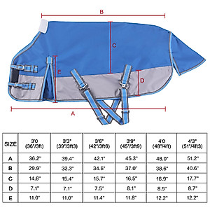 Gallopoff Mini Horse/Pony/Foal/Miniature Size 36"-51" Lightweight Waterproof & Breathable 1200 Denier Turnout Blanket with No Filling RoyalBlue 51"