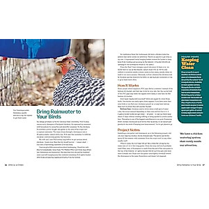 Hentopia: Create a Hassle-Free Habitat for Happy Chickens; 21 Innovative Projects