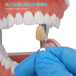 Dental Shade Guide Professional 3D R-20 Tooth Whitening Shade Chart with 20 Colors Teeth Shade Guide with Mirror