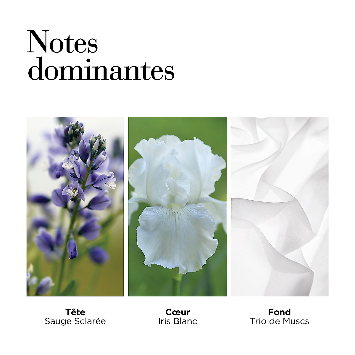 Elizabeth Arden White Tea Body Cream, Moisturizer for Dry Skin, Use Day or Night, Lightly Scented Fragrance, Softens and Moisturizes, Silky Smooth Finish, 13.54 oz