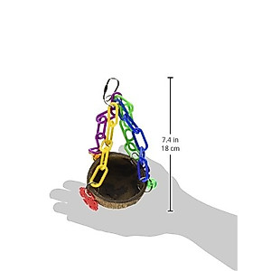 Super Bird Creations SB895 Coco Treat Cup Foraging Bird Toy, Small/Large Bird Size, 9" x 4"