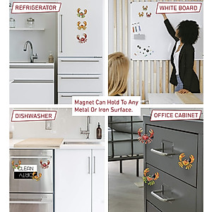 CoTa Global Cartoon Crab Refrigerator Bobble Magnets Set of 3 - Assorted Color Fun Cute Sea Life Animal Bobble Head Magnets For Kitchen Fridge, Home Decor, Cool Office and Decorative Novelty - 3 Pack