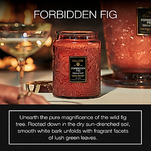 Voluspa Forbidden Fig, Large Candle Jar, 18 oz, 100 Hour Burn Time, Coconut Wax for Clean Burning, Handcrafted in the USA