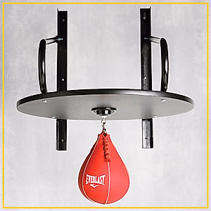 Everlast 100 LB Nevatear Heavy Bag Boxing Kit with 14 oz Pro-Style Gloves and 120 inch Hand Wraps