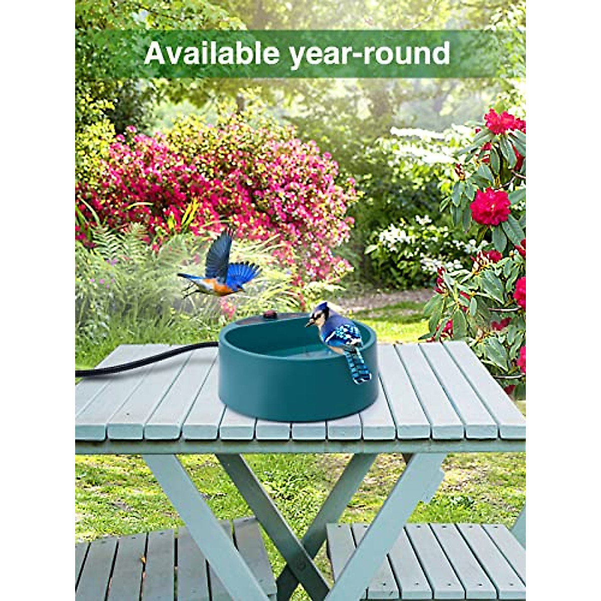 MEWTOGO Heated Bird Bath, 68 Oz Bird Baths for Outdoors 100W Deep Birdbath Heater Bird Water Feeder for Winter Garden Deck Yard Animals Wild Bird Pet Dogs Drink Water