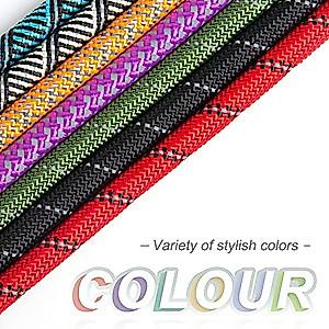 Fida Durable Slip Lead Dog Leash, 6 FT x 1/2" Heavy Duty Dog Loop Leash, Comfortable Strong Rope Slip Leash for Large, Medium Dogs, No Pull Pet Training Leash with Highly Reflective, Black