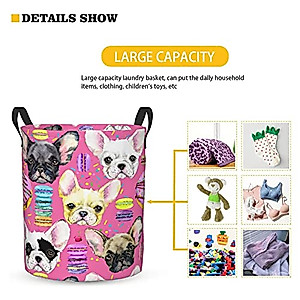 KiuLoam Cute French Bulldog 19.6 Inches Large Storage Basket Collapsible Organizer Bin Laundry Hamper for Nursery Clothes Toys