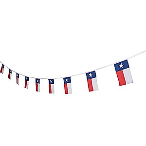 TSMD Texas State Flag Banner,100 Feet Small Mini Texas TX Lone Star Pennant Banner Flags String,Party Decorations Supplies For Bar,School Sports Event,International Festival Celebration