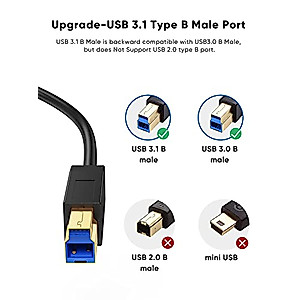 CableCreation USB 3.1 USB C to USB B Cable 4 FT Bundle USB 3.1 C to Micro B Hard Drive Cable 2FT