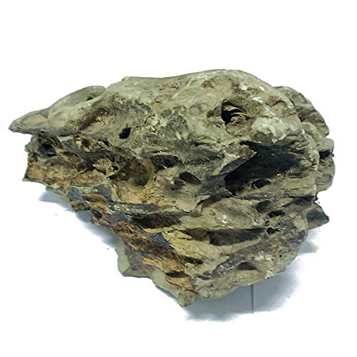 ZYYRT Natural Stone Aquarium Decoration 4.4 lb Dragon Stone Rock Mixed Sizes for Micro Landscape Fish Tank Decor