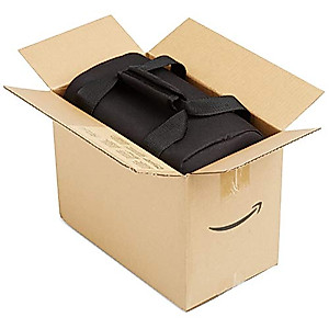 Amazon Basics Large DSLR Gadget Bag (Gray interior)